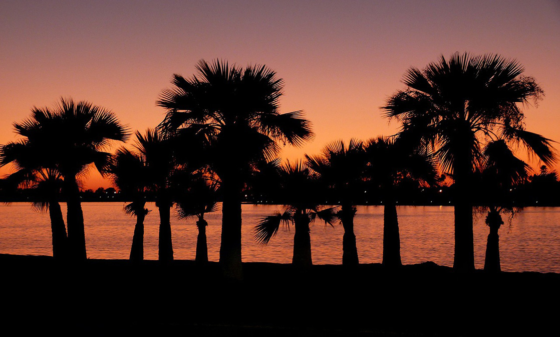 9 Fun Fall Family Activities in San Diego | SheBuysTravel