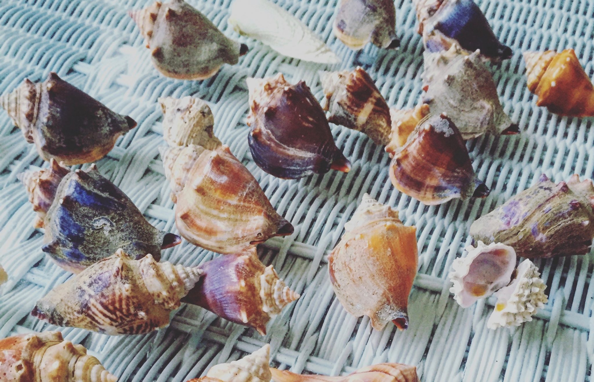 Beach Essentials: Things to Pack for an Unforgettable Day