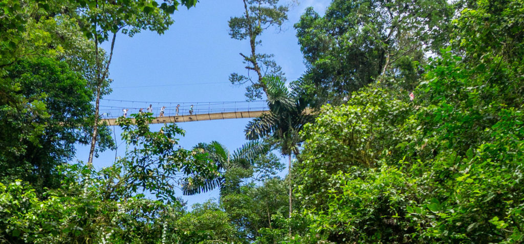 The Ultimate Costa Rica Packing List | SheBuysTravel