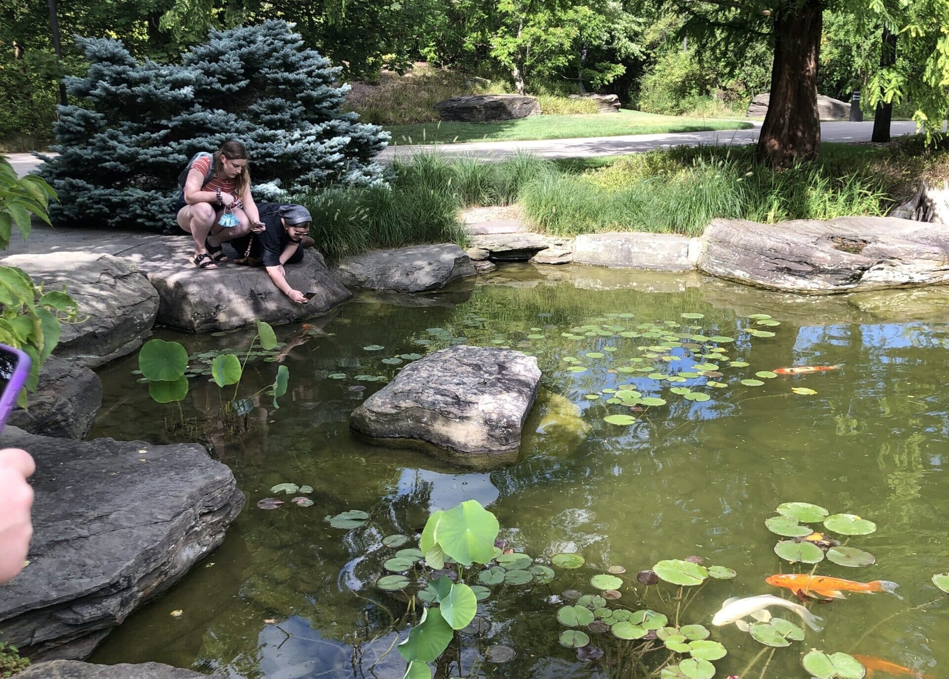 Meijer Gardens: Explore Nature and Art Together