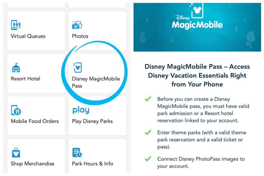Disney MagicBands: Everything You Need to Know | Guide to Disney ...