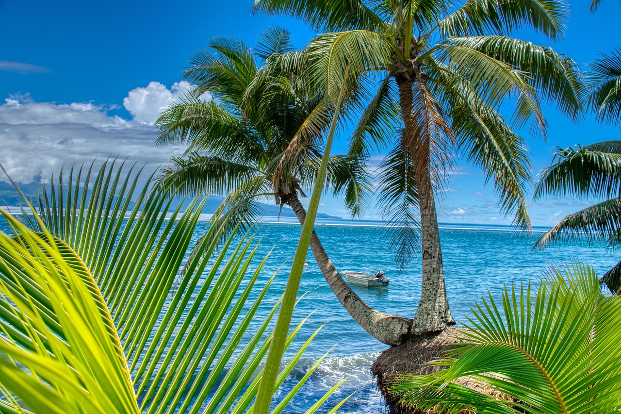 Escape to Paradise with These Top Tropical Places to Visit