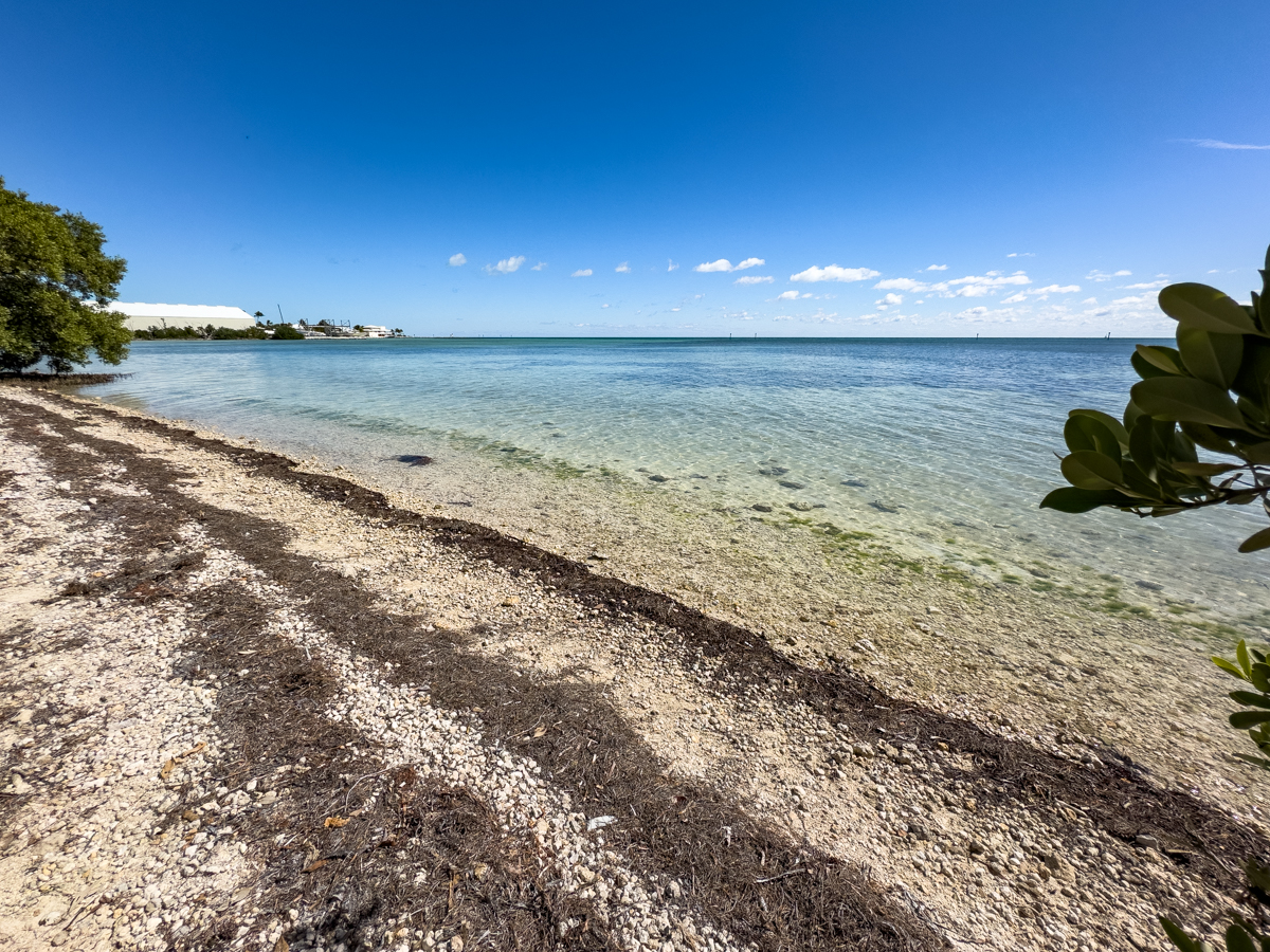 Best Things to Do on Islamorada in The Florida Keys