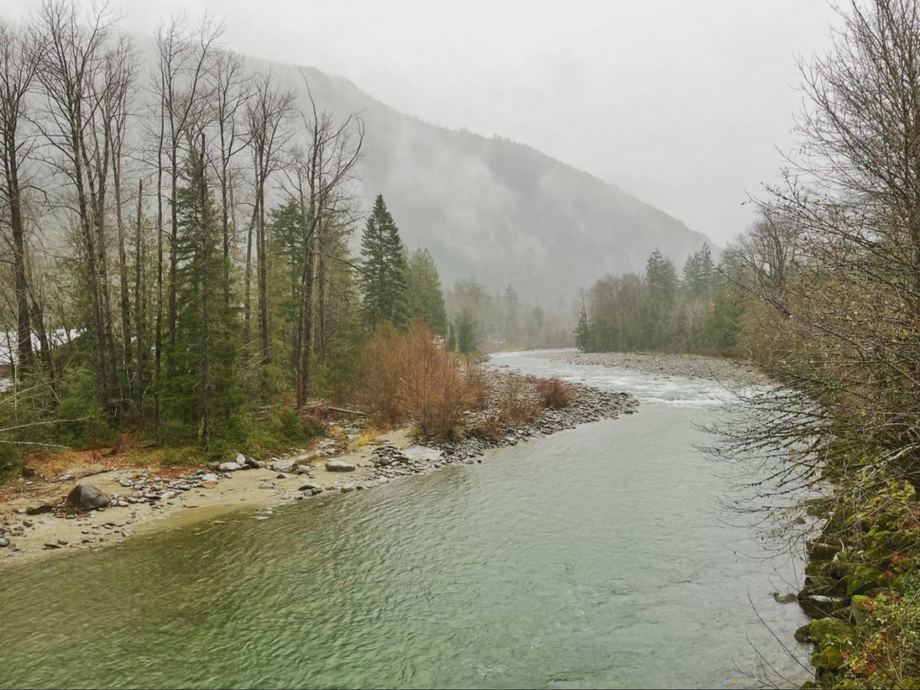 Index Cabins in Washington Review: A Weekend in the Trees