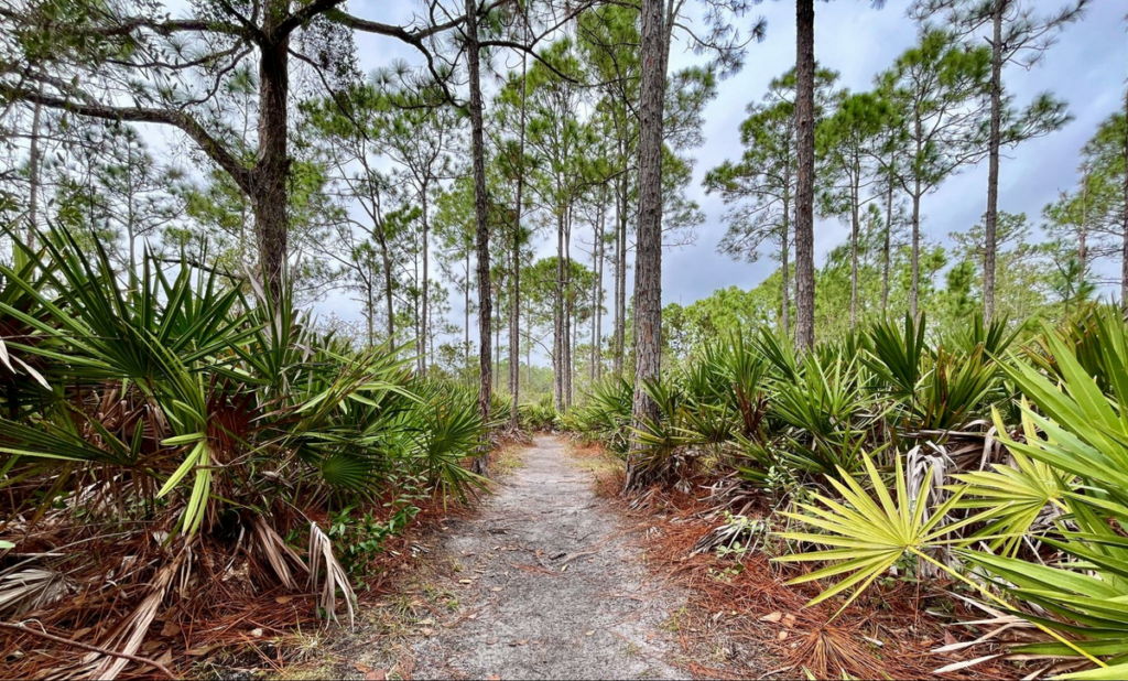 Orlando Florida | Hiking Trails Near Theme Parks
