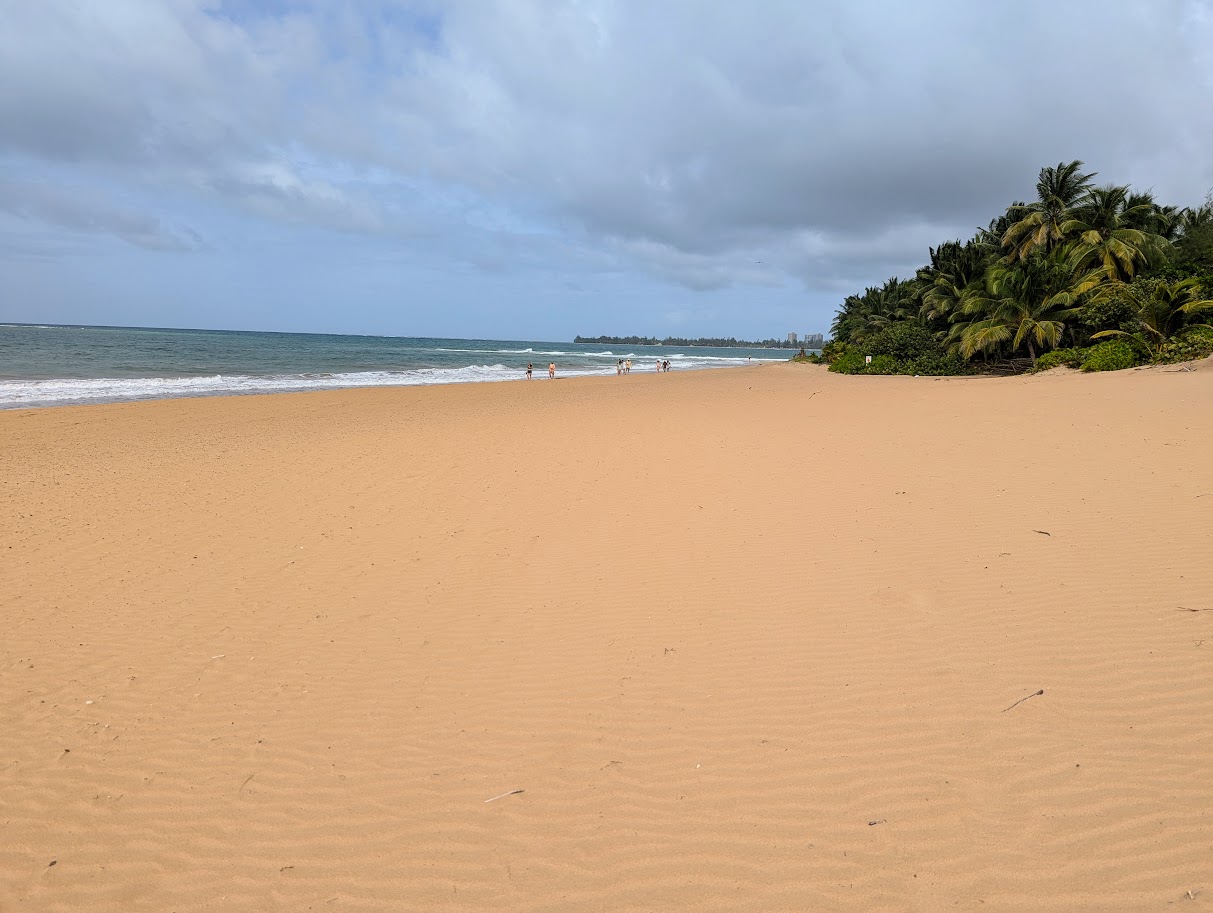 Wyndham Grand Rio Mar Golf & Beach Resort: Paradise in Puerto Rico