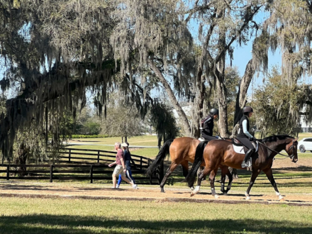 10 Must-Do Activities for Equestrian Travelers in Ocala, FL