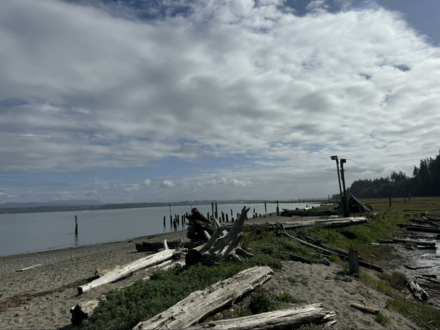 Things to Do in Camano Island WA: Exploring Beaches and Farmland
