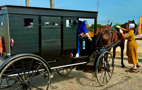Indiana Amish Country: A Guide to Calm Living | SheBuysTravel