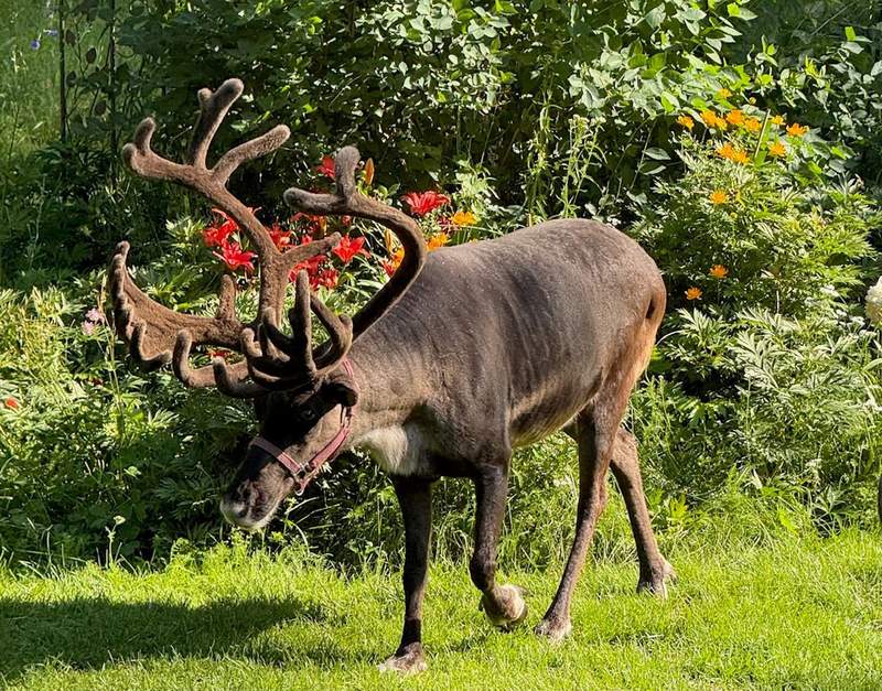 Alaska Multigen Camping Adventure: Memories in the Wild | SheBuysTravel