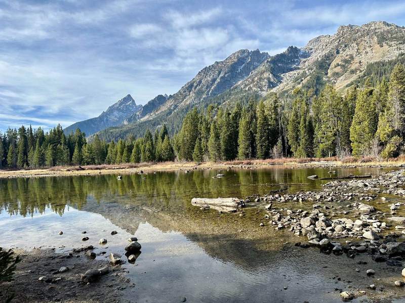 Rusty Parrot Lodge in Jackson, Wyoming Review | SheBuysTravel