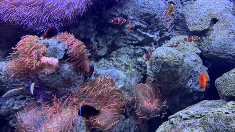 Don't-Miss Things to Do in Downtown Seattle | SheBuysTravel