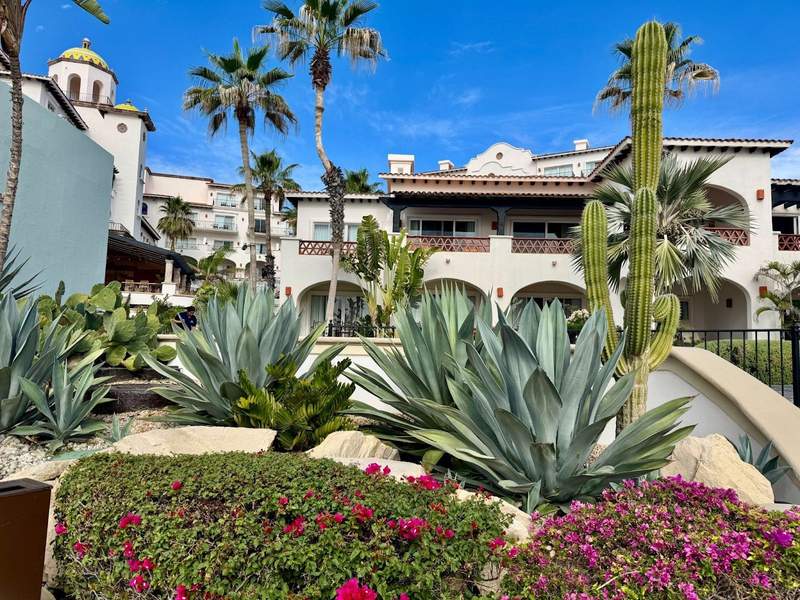 Hacienda del Mar Autograph Collection Review