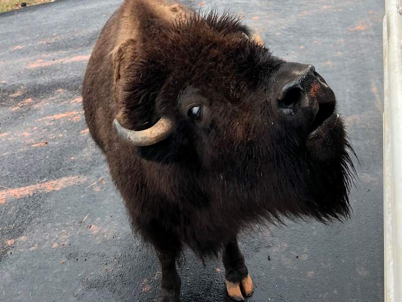 LaGrange Georgia Attractions for Families to Explore | SheBuysTravel